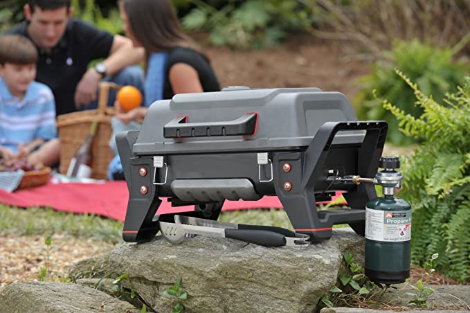 Best Tabletop Gas Grills - The Cc Rown and Goose